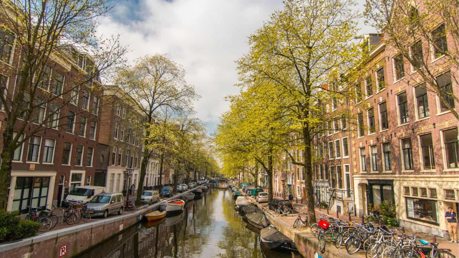 Amsterdam Marathon Route Breakdown: Map, Profile, & Overview - Coach Parry