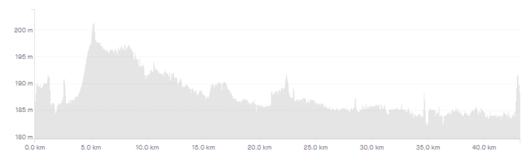 The Chicago Marathon Route: EVERYTHING You Need To Know