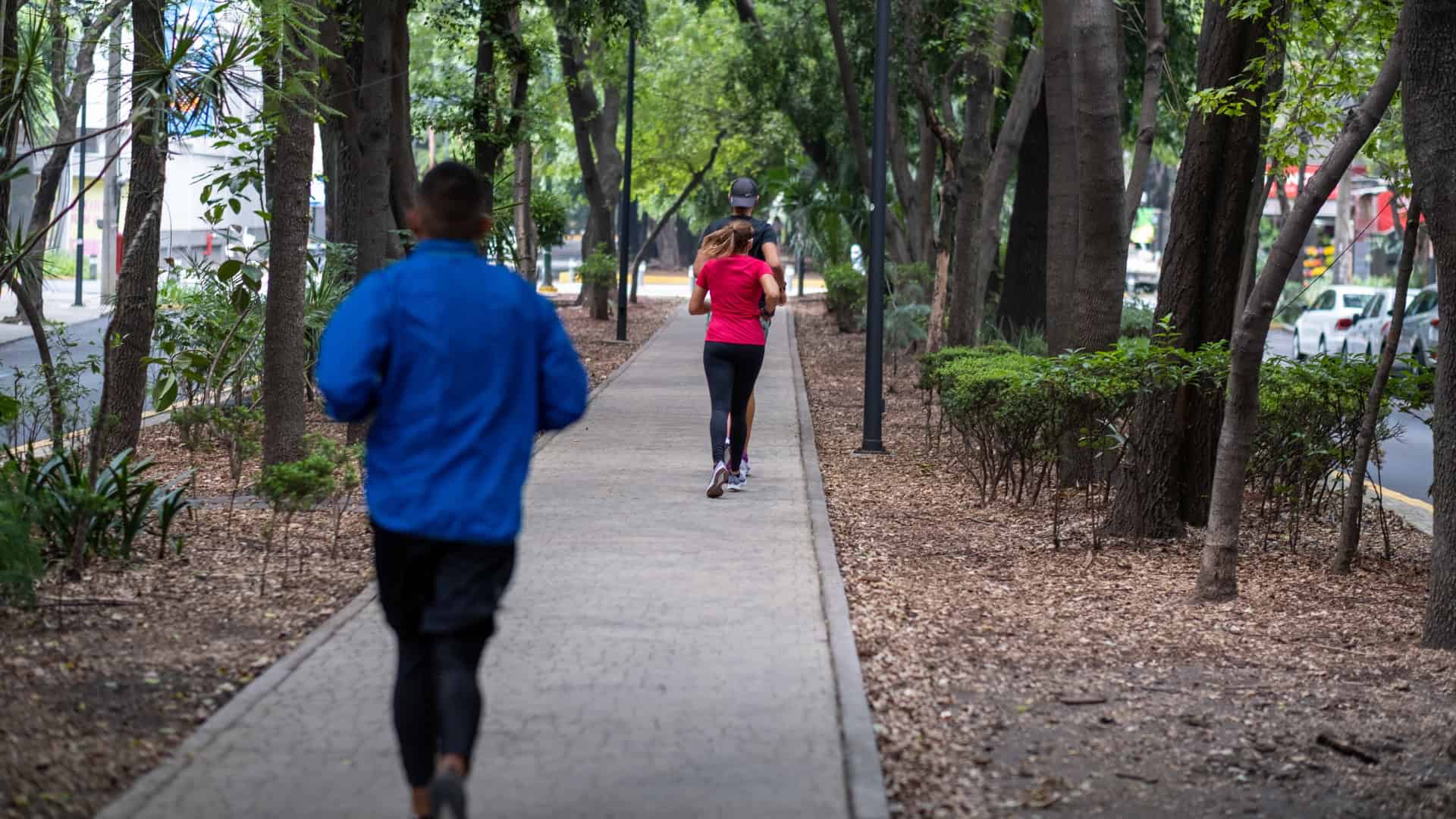You’ve Run a Few Parkruns – What’s Next?
